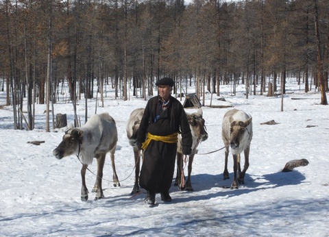 En terres Tsaatan - Mongolie