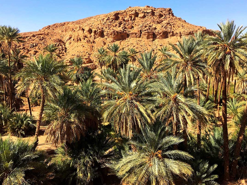 Circuit Algérie - Circuit La boucle des Oasis : les jardins de la Saoura