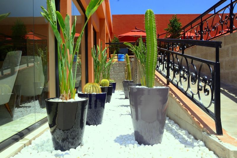 Séjour Maroc - Hôtel Kappa City Medina Gardens 4* - Marrakech