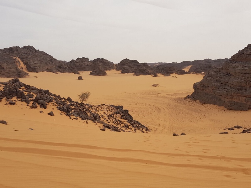 Circuit Algérie - Circuit Le Tassii N'Ajjer et l'infinie beauté du Sahara